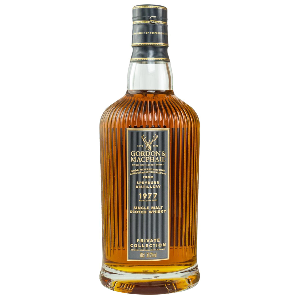 Speyburn 44 Year Old Gordon & Macphail Scotch Whisky | Buy Online